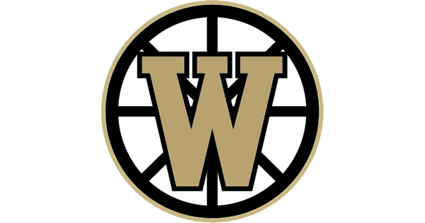 Order tickets for the Winfield U18 Recreation Tournament | Raffle Nexus